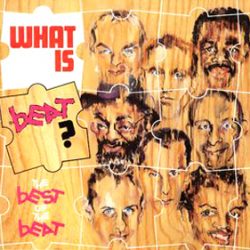 Discography | The Beat Official Website